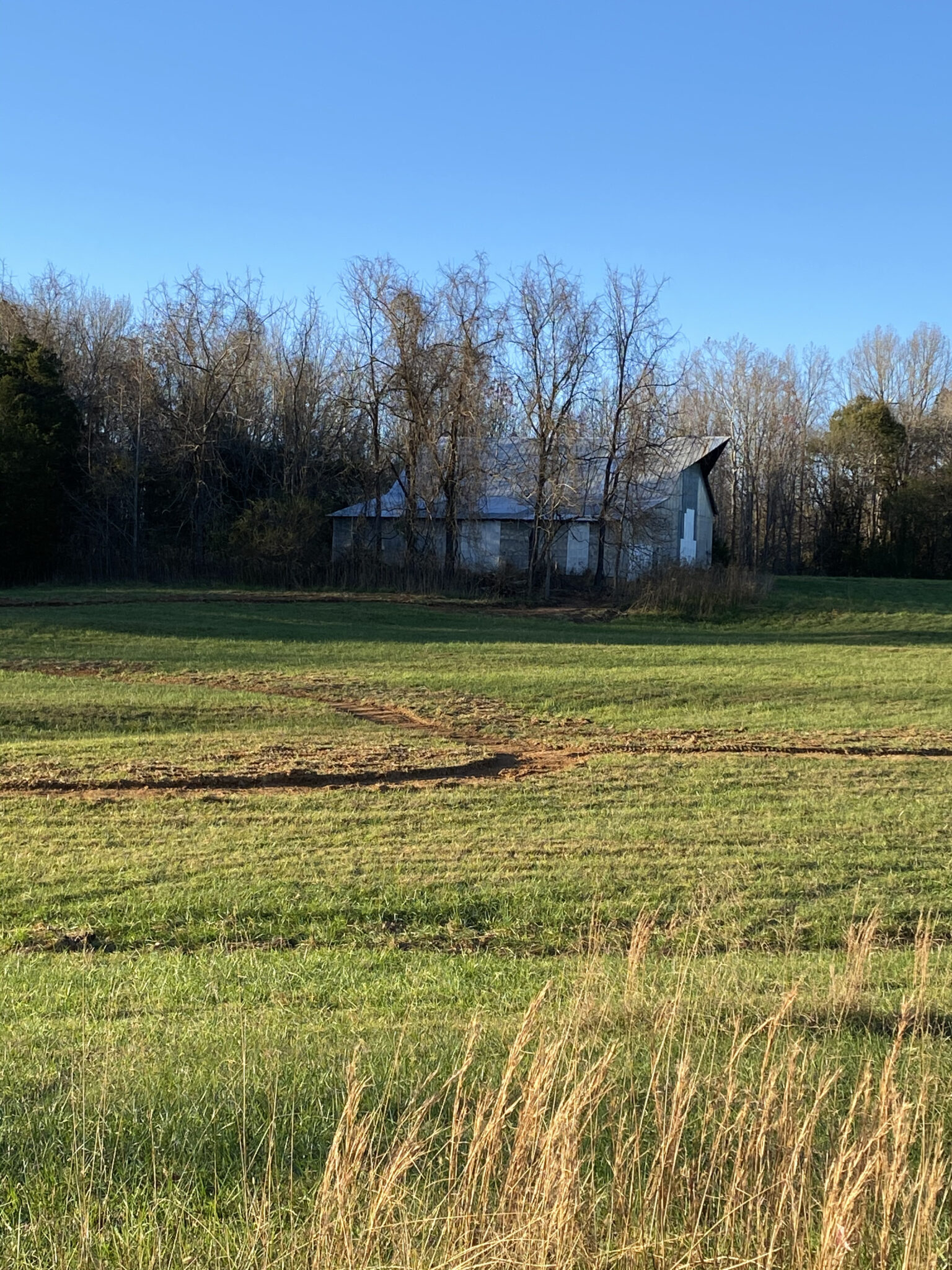 The Mebane Scoop: Tennis Shoes and UV Rays: Exploring Cate's Farm Park ...